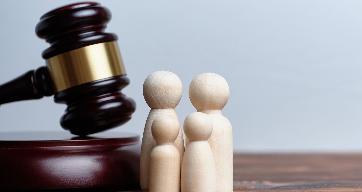 Conceptual Model of Judicial Decision-Making and Hearing Quality in ...